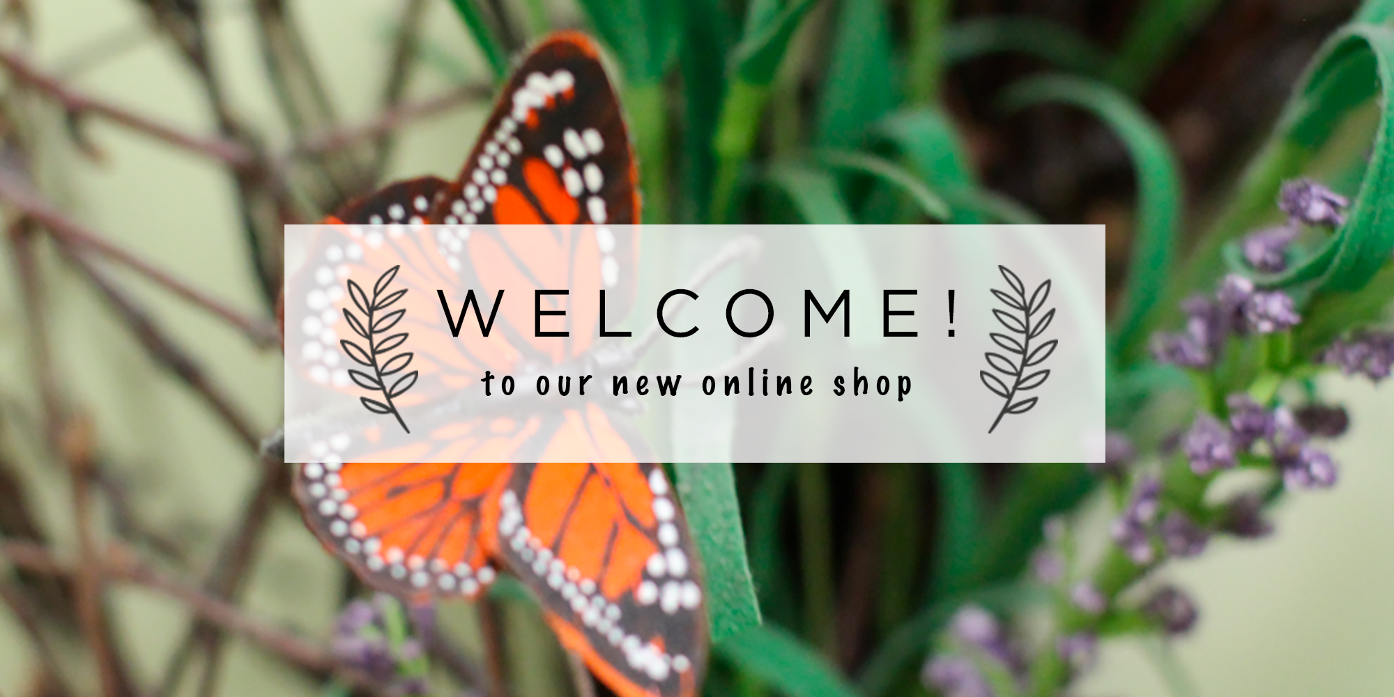 Website Graphics – CHLOE RAPP